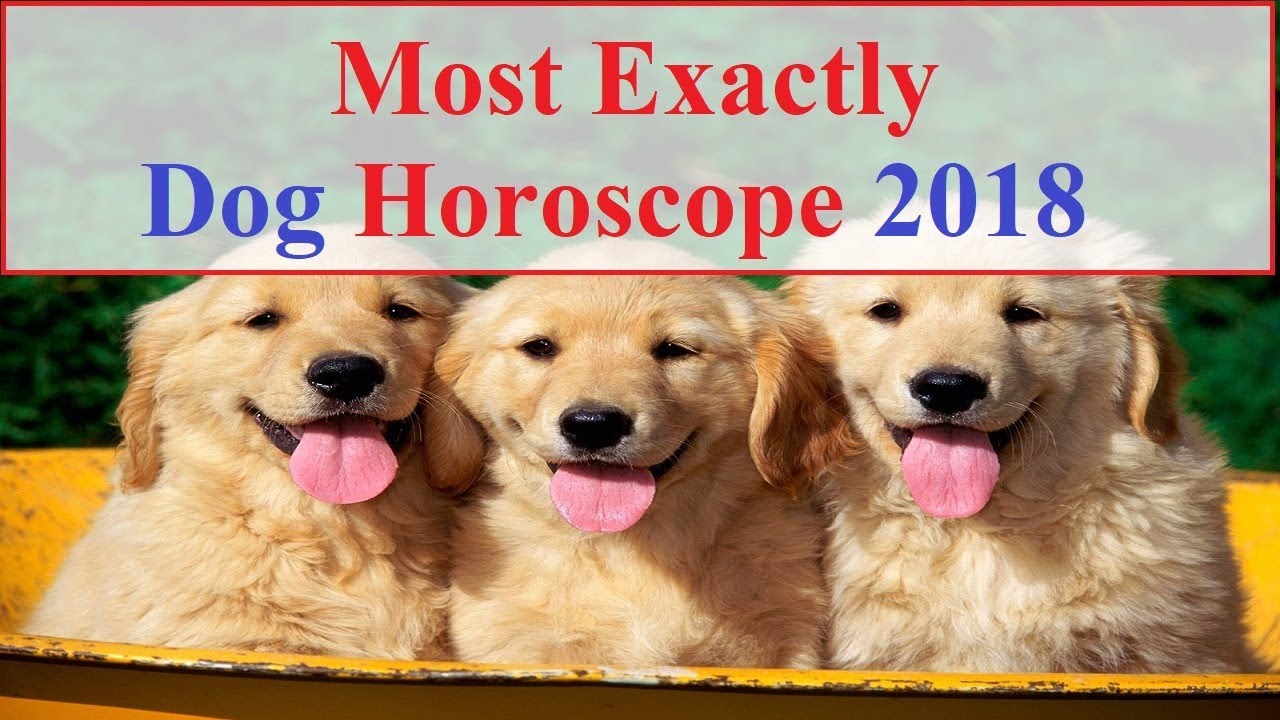 2018 Dog Horoscope – FENG SHUI FRAMEWORK