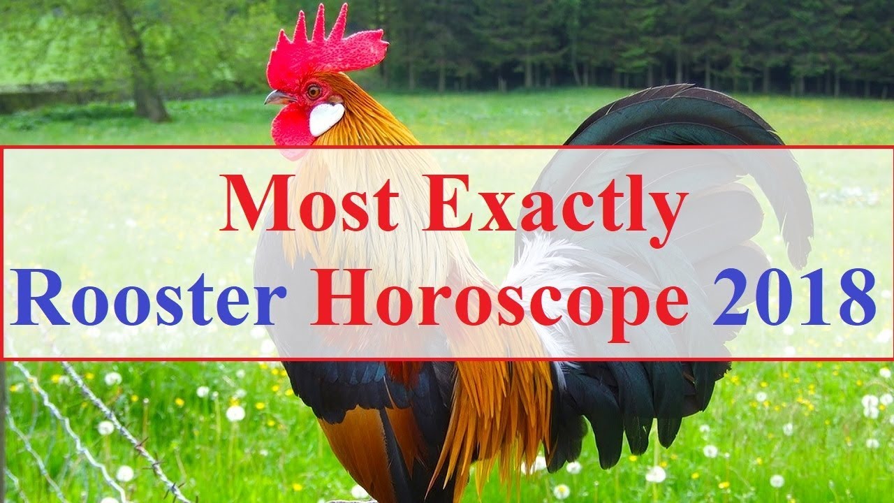 2018 Rooster Horoscope – FENG SHUI FRAMEWORK