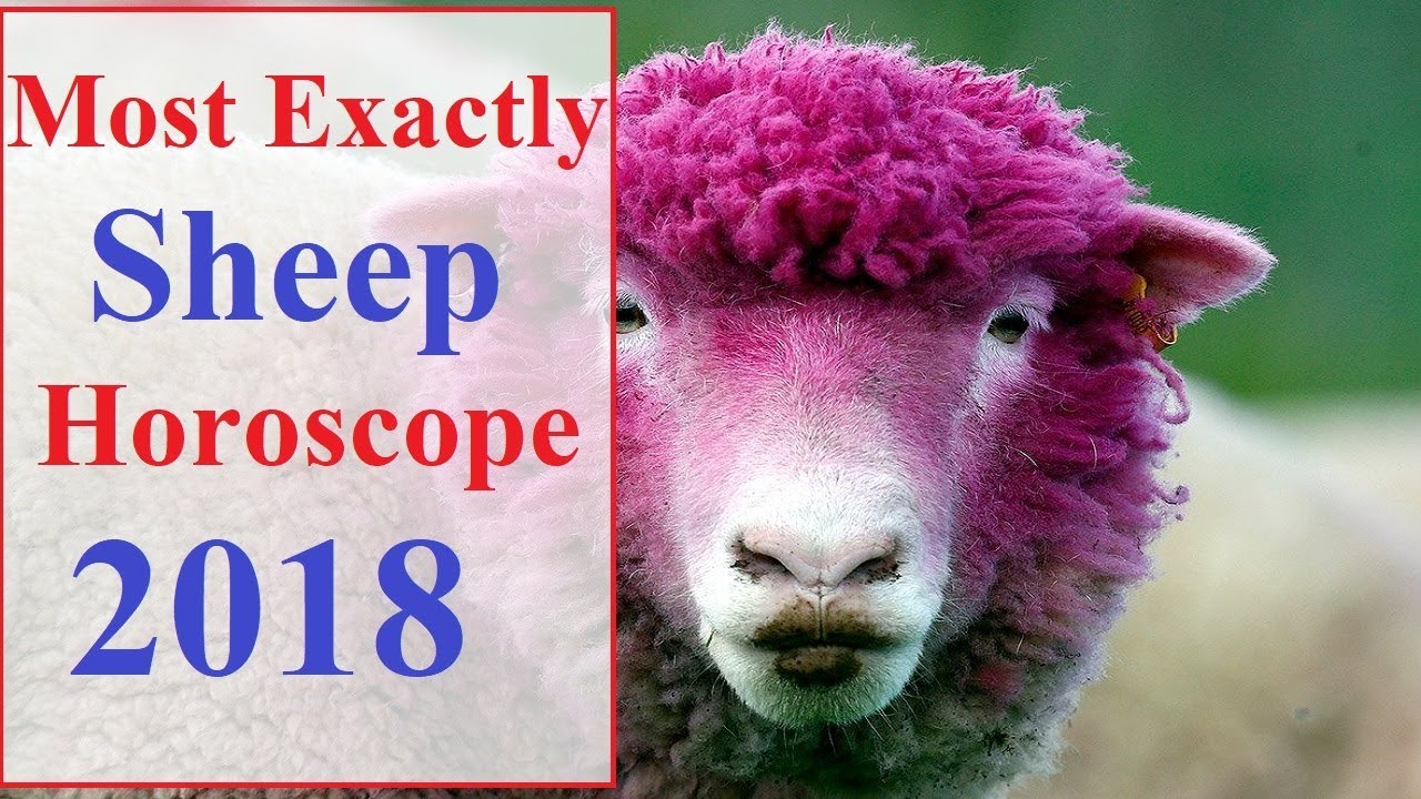 2018 Sheep Horoscope – FENG SHUI FRAMEWORK