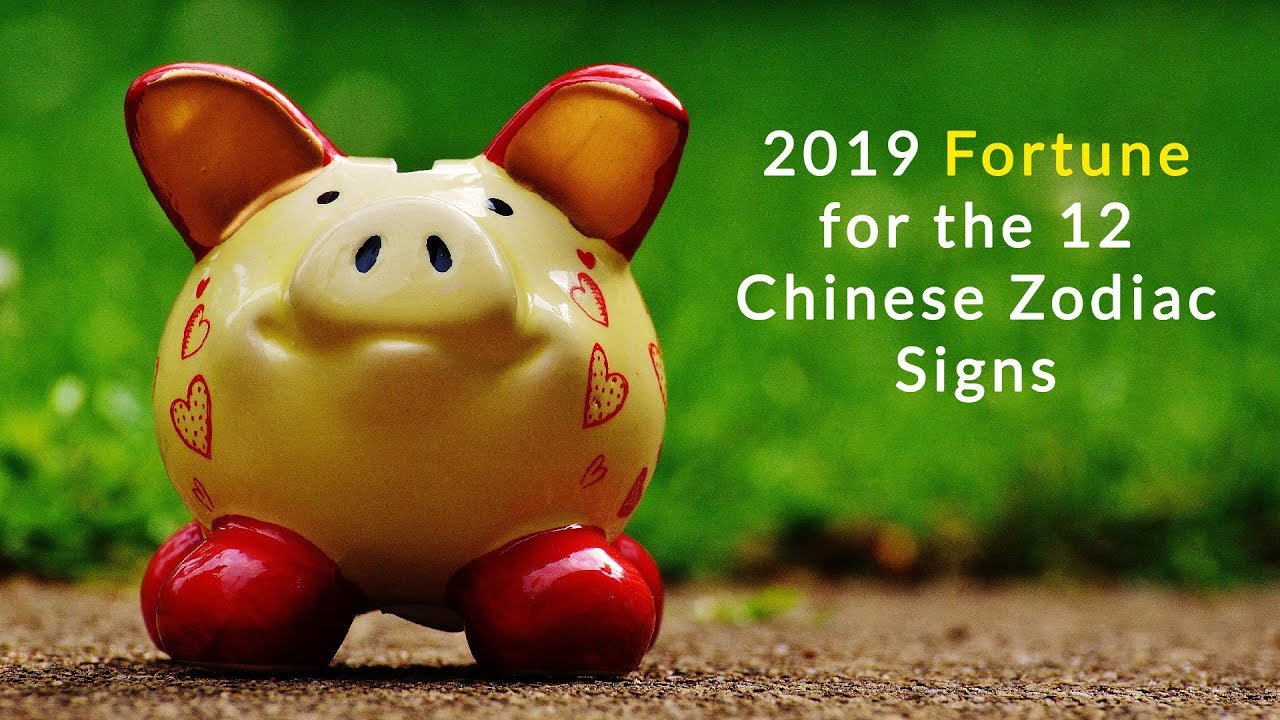 2019 Fortune for the 12 Chinese Zodiac Signs – FENG SHUI FRAMEWORK
