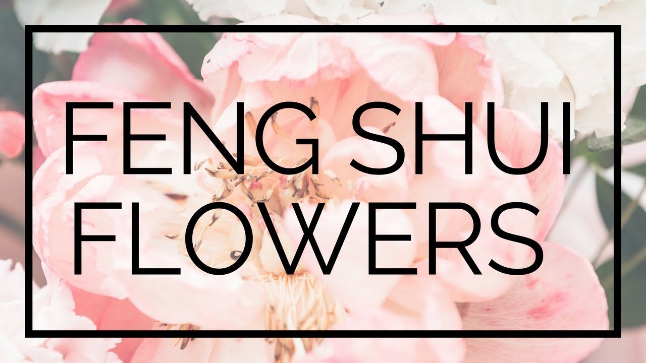 9 Flowers to Activate the Energy in Your Home – FENG SHUI FRAMEWORK